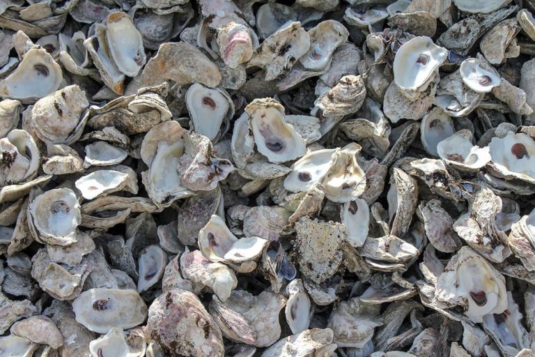 Landscaping Materials - Rock World