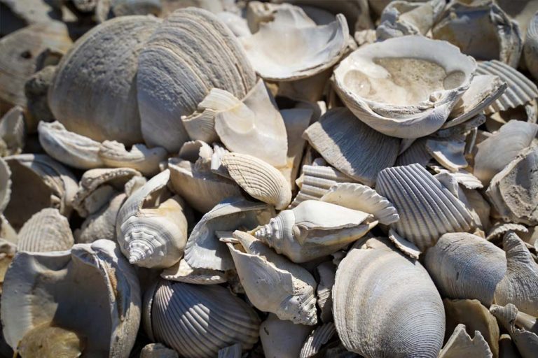 Landscaping Materials - Rock World